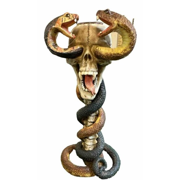 Veronese | Accents | Halloween Cobra Snake In Skull Studio Collection ...